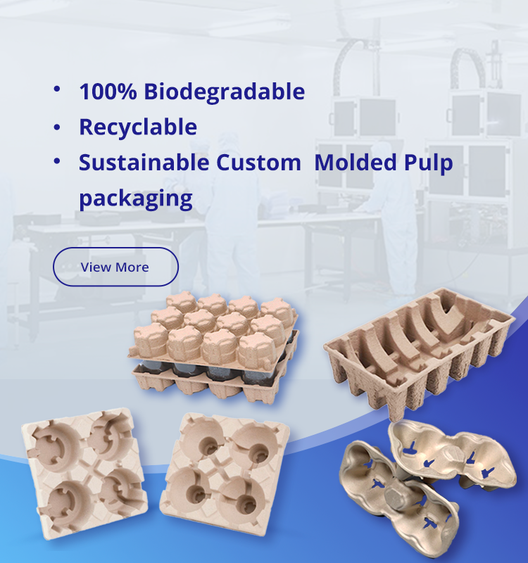 Molded Pulp Packaging Wholesale, Custom Recycled Pulp Packaging - Globepulp
